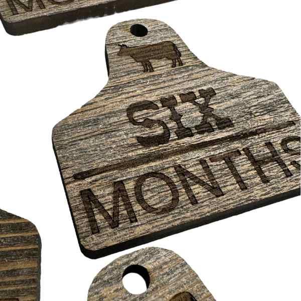 Baby Month Milestones Cattle Tag Designs (Engraved) - Rockin' Wood